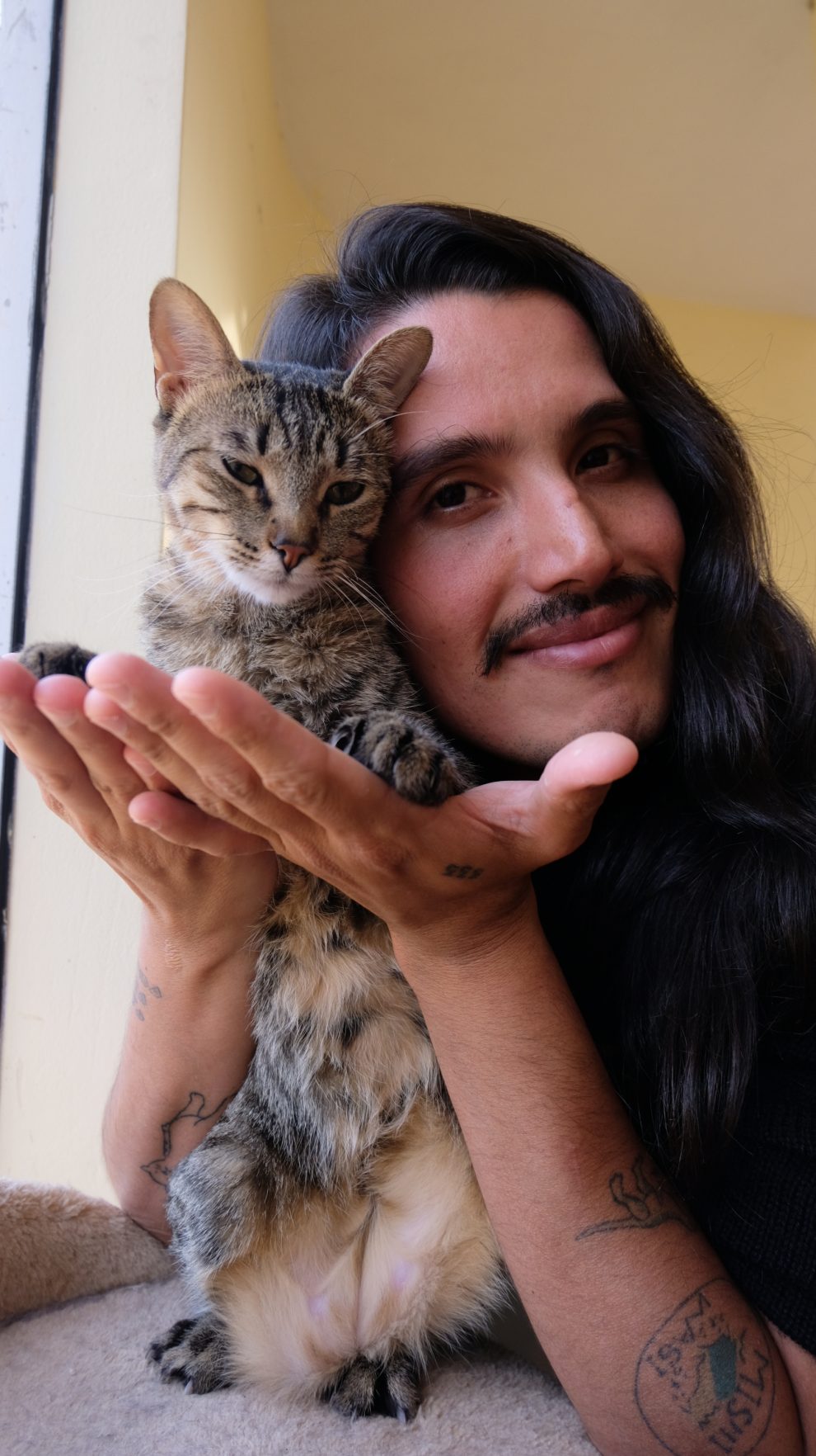 Conoce a Mishi Wasi el señor de los gatos » Al Poniente