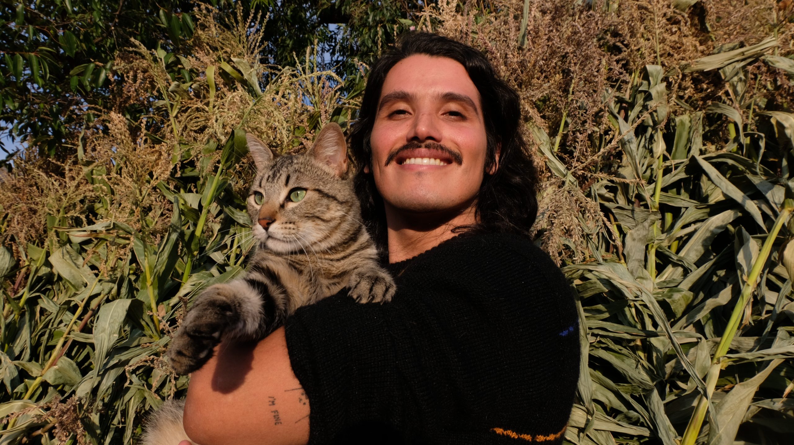 Conoce a Mishi Wasi el señor de los gatos » Al Poniente