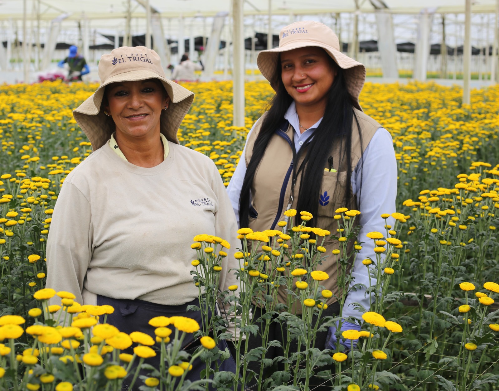 Flores El Trigal celebrará sus 25 años con una Serenata » Al Poniente