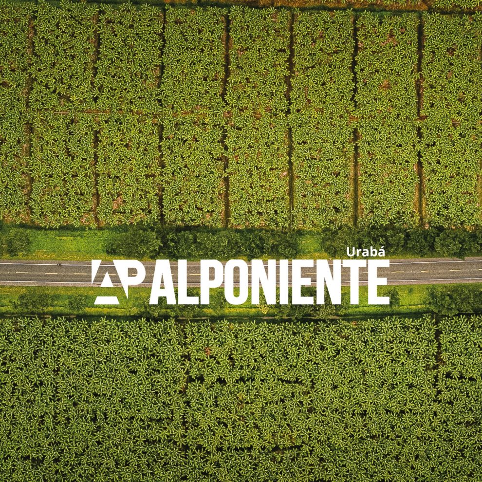 Cambiar el discurso: la política de la zozobra electoral » Al Poniente
